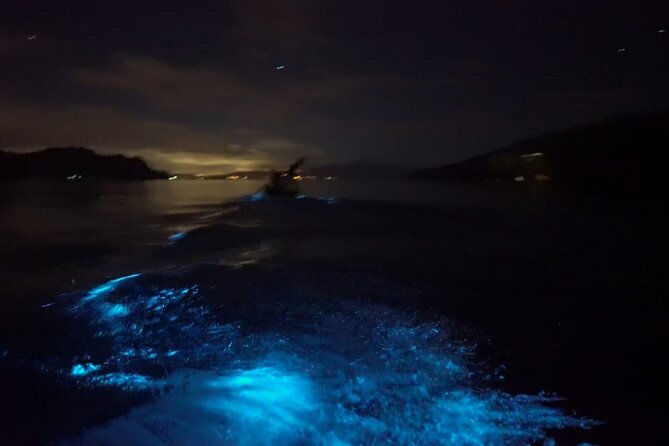 Eddys Bioluminescence Reserve in Punta Cuchillos - Key Points
