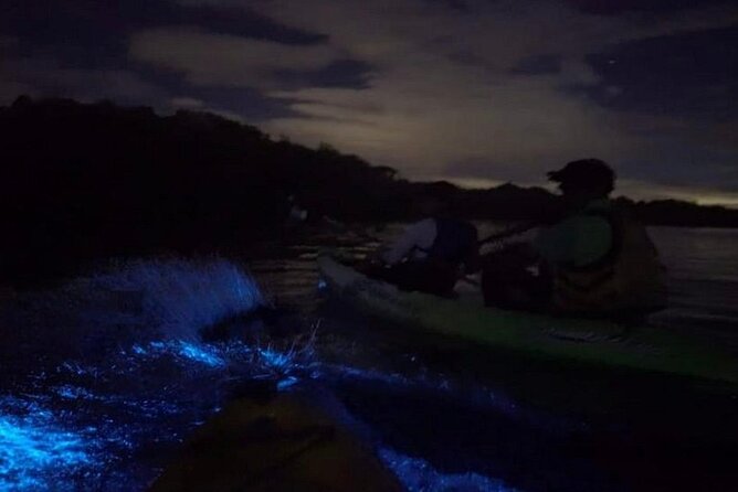 Eddys Bioluminescence Reserve in Punta Cuchillos - Amenities and Facilities