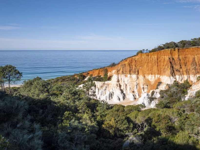 Eden: 2-Hour Highlights Tour, Nature, Beaches and Lookouts - Key Points