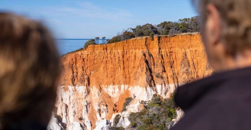 Eden: 2-Hour Highlights Tour, Nature, Beaches and Lookouts - Final Thoughts