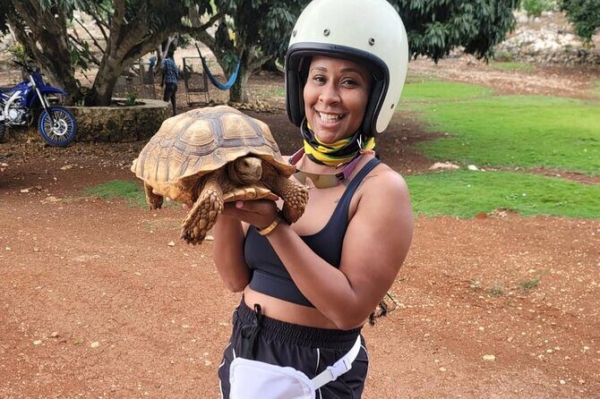 Eden Bay Private Airport Transfer - Who Should Consider This Service?