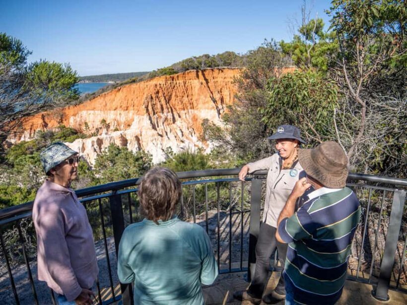 Eden: Panboola Wetlands and Potoroo Palace Tour with Lunch - Key Points