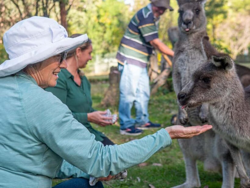 Eden: Panboola Wetlands and Potoroo Palace Tour with Lunch - FAQ