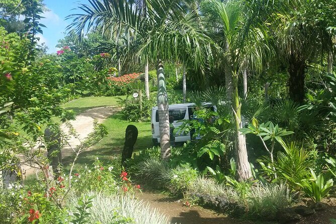 Eden's Kava Experience - FAQ