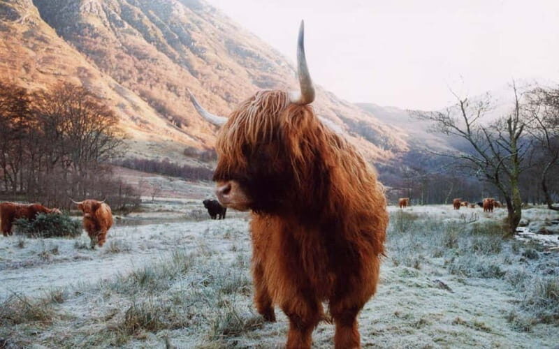 Edinburgh: 18-39s 3-Day Tour of Scottish Highlands & Skye - An Introduction to the Experience