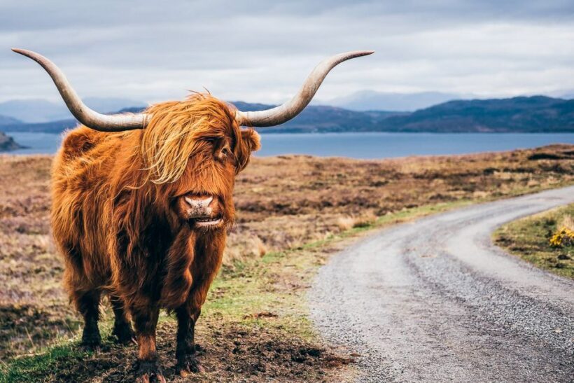 Edinburgh: 3-Day Isle of Skye, Highlands, and Loch Ness Tour - Journey Through the Scottish Highlands: A Full Breakdown