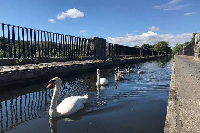 Edinburgh City Bike Tour - Choice of E-Bike or Manual - Meeting Point