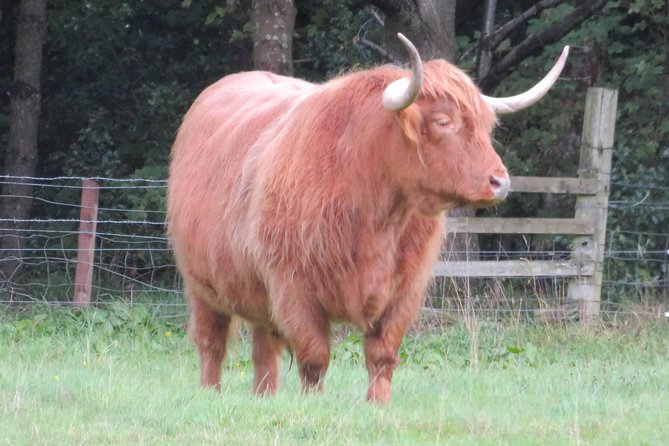 Edinburgh City private driving tour Castle Rosslyn Chapel - Frequently Asked Questions