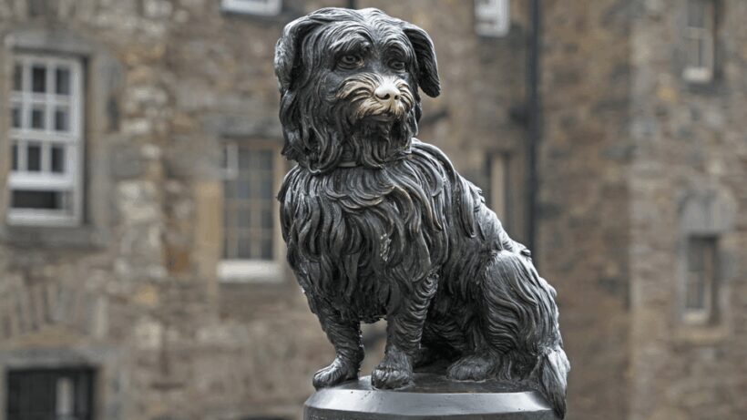 Edinburgh: Discover Edinburgh's Old Town Walking Tour - Key Points