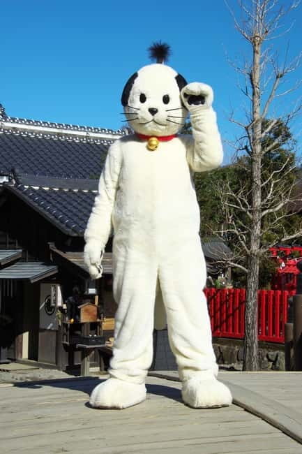 EDO WONDERLAND Nikko Edomura - Key Points
