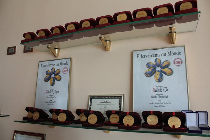 Edoardo Miroglio Private Boutique Winery Tour - Who Should Consider This Tour?