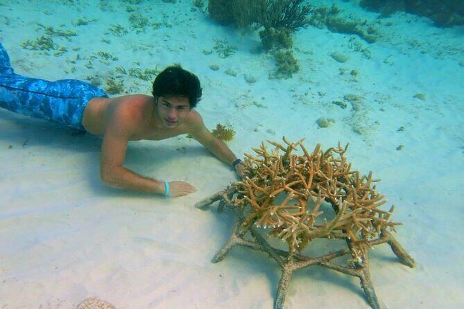 Educational Coral Gardening Snorkeling Adventure - Key Points