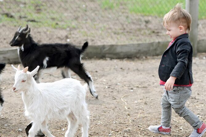 Educational Farm Adventure Tour on Bainbridge Island - Key Points
