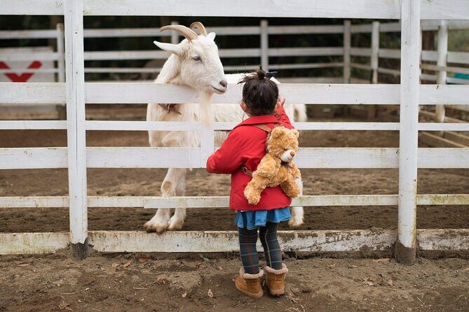 Educational Farm Adventure Tour on Bainbridge Island - Tour Breakdown: A Detailed Look