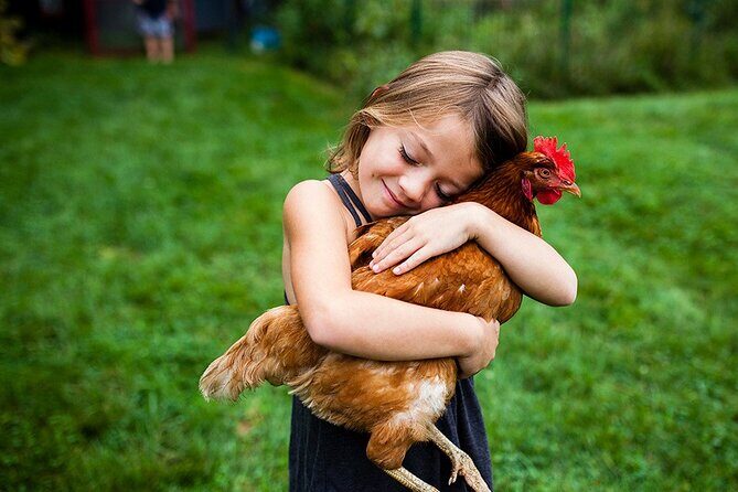 Educational Farm Adventure Tour on Bainbridge Island - The Sum Up: Is This Tour Worth It?