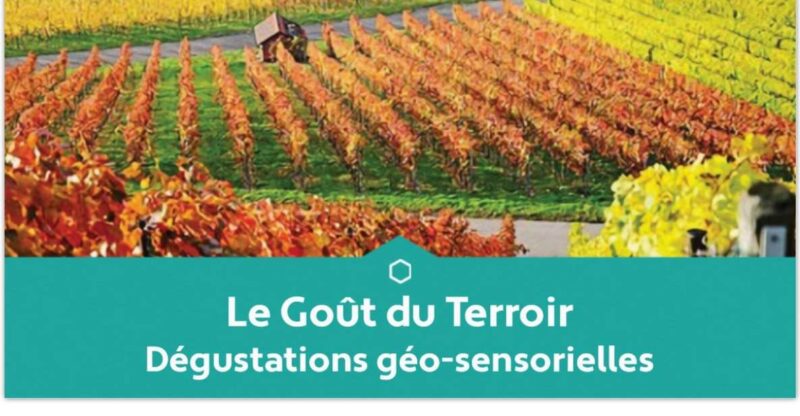 Educational tasting of 3 Champagnes from Winegrowers - Key Points