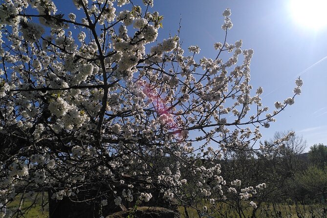 Educational visit of a Certified Organic Micro Farm in Trancoso - The Details: Logistics and Experience