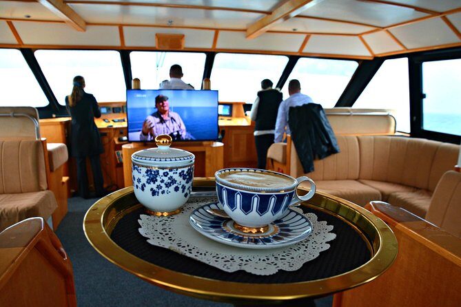 Educational Whale Watching Tour from Perth - The Best Fit for Who