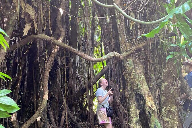 Efate Highlights: Village Walk, Coffee Tasting & Beach Chill - An In-Depth Review of the Efate Highlights Tour