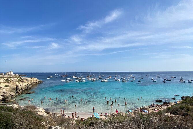 Egadi Shuttle Tour to Favignana and Levanzo from Trapani - What Travelers Are Saying