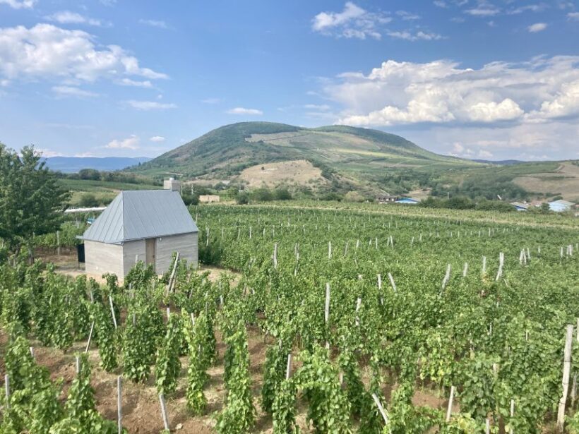 Eger: Countryside, Culture, and Wine Private Tour - The Heart of the Day: Wine Tasting in the Valley of the Beautiful Women