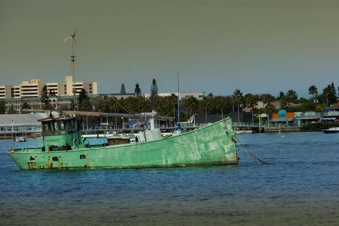 Egmont Key Snorkeling Dolphin Tour - Exploring the Diverse Marine Life