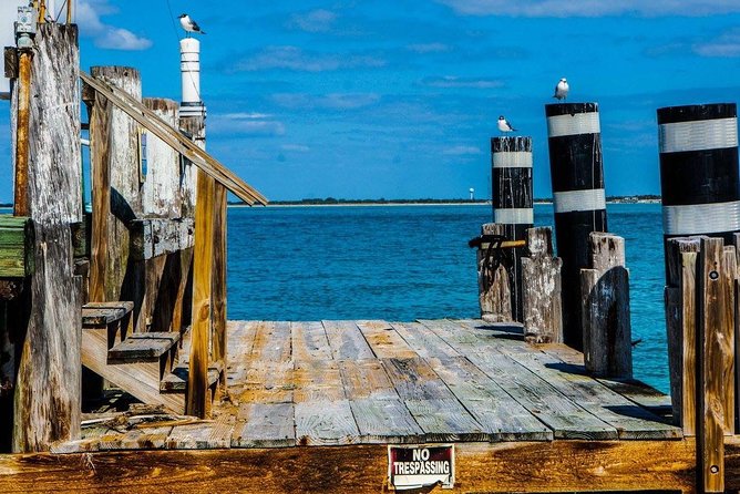 Egmont Key Snorkeling Dolphin Tour - Sighting of Dolphins, Manatees, and Turtles