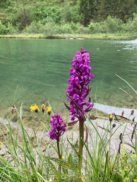 Ehrwald: Nordic Walking Tour - Final Thoughts: Is This Tour Worth It?