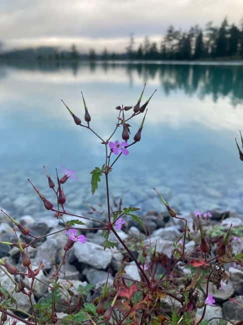 Ehrwald: Time to Relax-Yoga meets Mountain Tour - What to Bring and Wear