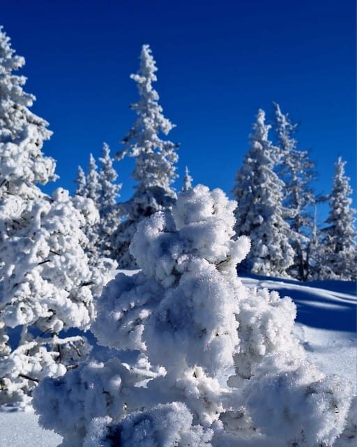 Ehrwald: Zugspitze Snowshoe Hiking Tour with Mountain Views - FAQ