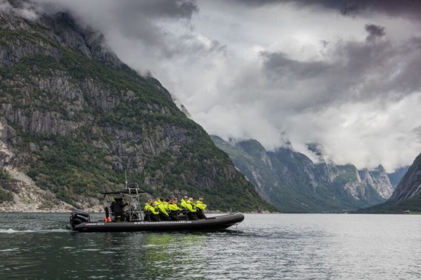 Eidfjord: 1-Hour Fjord RIB Tour - An In-Depth Look at the Eidfjord Fjord RIB Tour