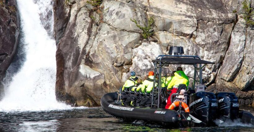 Eidfjord: 1-Hour Fjord RIB Tour - Final Thoughts