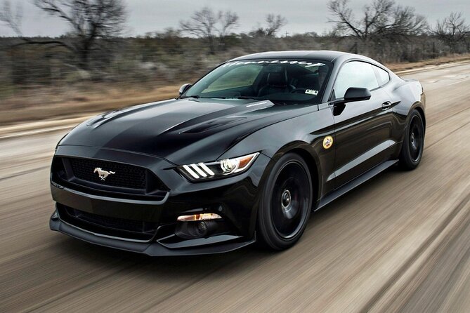 Eiffel Tower with private pick up from your hotel - Who Would Love This Tour?