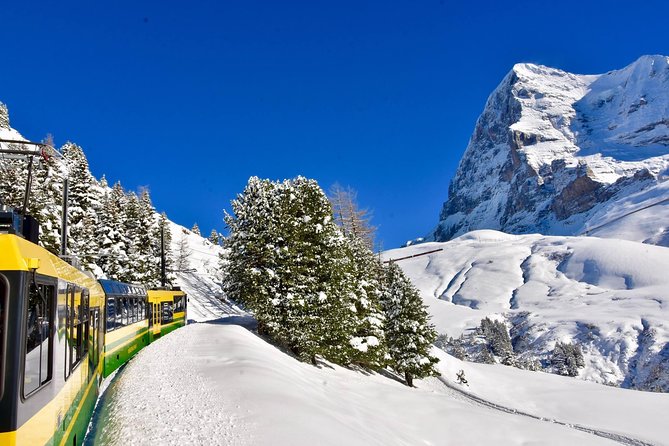 Eiger and Jungfrau Glacier Panorama Tour From Zurich - Guide and Customer Experiences