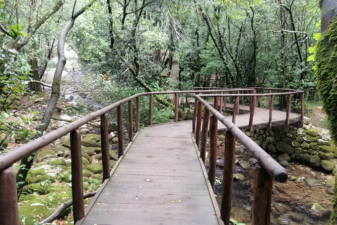 Eight Beautiful Locations Just Outside of Dubrovnik - Elaphiti Islands