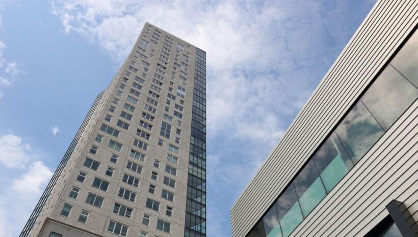 Eindhoven Private Walking Tour - What to Expect from the Eindhoven Private Walking Tour