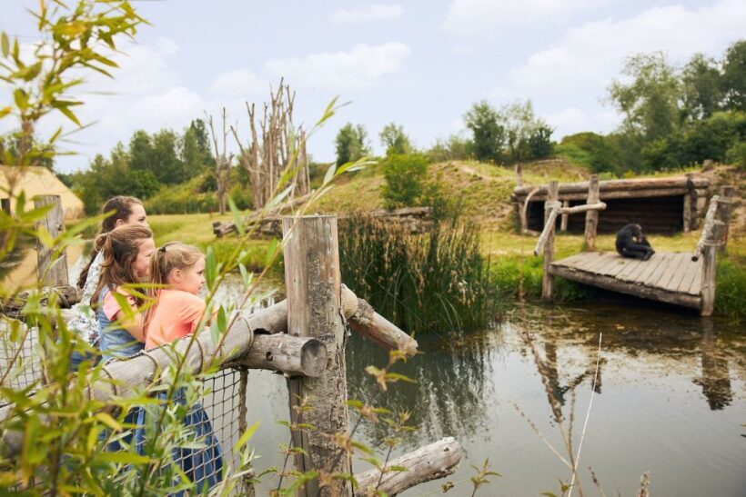 Eindhoven Zoo Entry Ticket - Review Highlights from Visitors