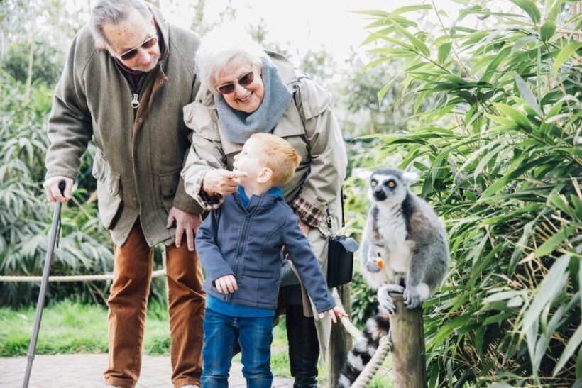 Eindhoven Zoo Entry Ticket - The Sum Up