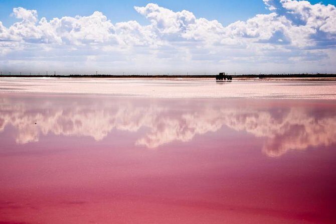 Ek Balam, Rio Lagartos and Las Coloradas Private Tour from Cancun - Is This Tour Worth It?