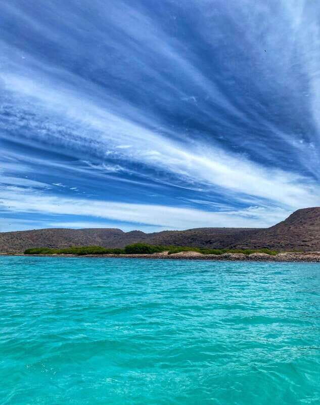 El Cabo: Incredible Private Tour to Espiritu Santo - An In-Depth Look at the Experience