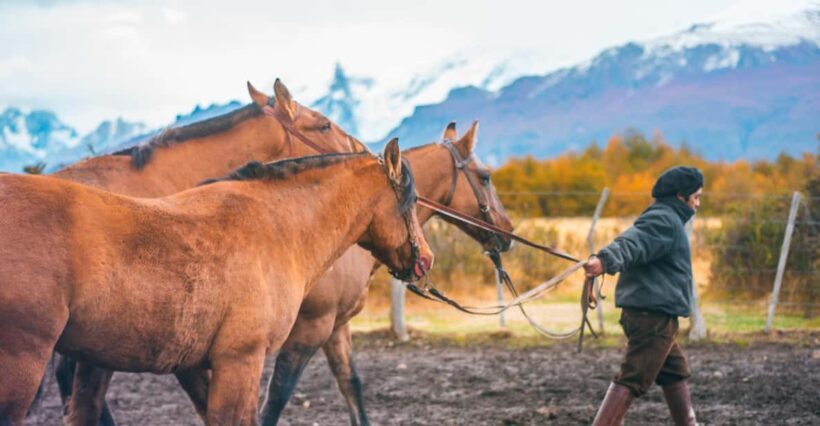 El Calafate: Nibepo Aike Ranch with Horseback Riding - Key Points