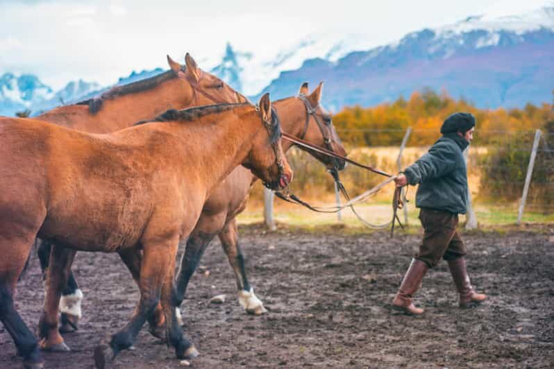 El Calafate: Nibepo Aike Ranch with Horseback Riding - The Itinerary in Detail