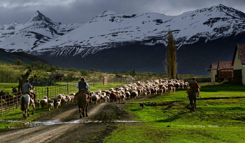 El Calafate: Nibepo Aike Ranch with Horseback Riding - Who Will Love This Tour?