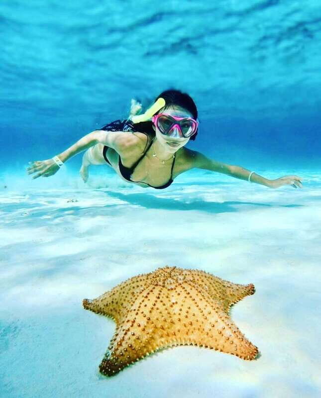 El Cielo and El Cielito in Cozumel with Beach Club, Food, and Open Bar - Discovering El Cielo and El Cielito in Cozumel with Beach Club, Food, and Open Bar