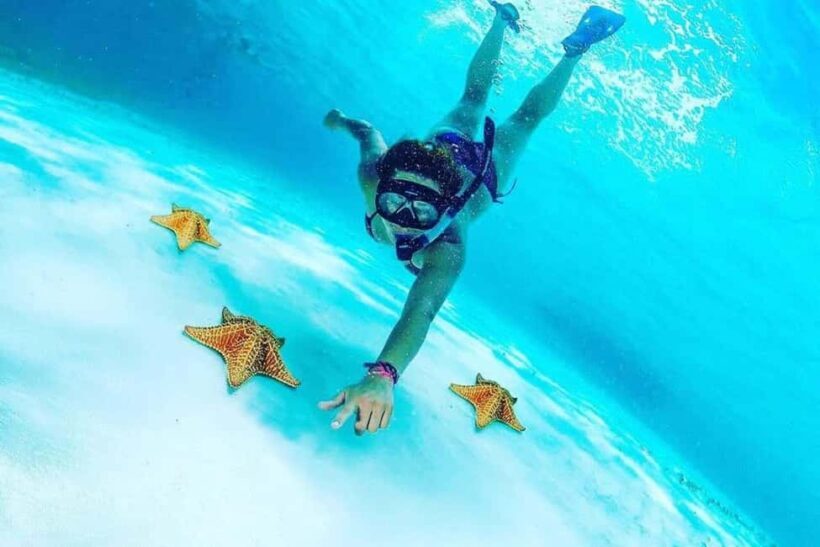 El Cielo and El Cielito in Cozumel with Beach Club, Food, and Open Bar - Key Points