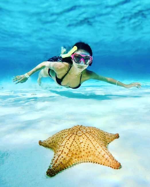 El Cielo and El Cielito in Cozumel with Beach Club, Food, and Open Bar - What Travelers Are Saying