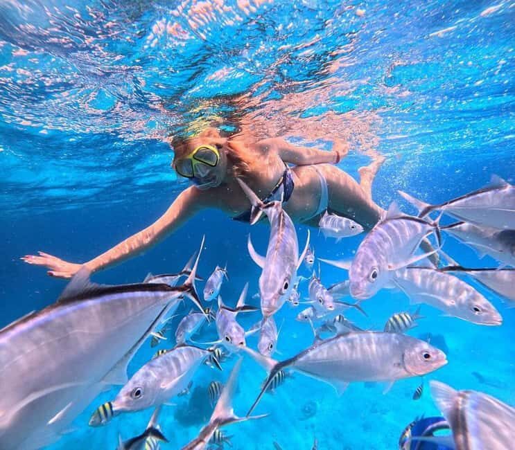 El Cielo and El Cielito in Cozumel with Beach Club, Food, and Open Bar - Analyzing the Value