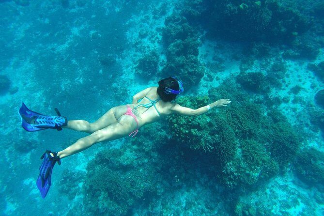El Cielo and Snorkel Private Excursion - Who Should Book This Tour?