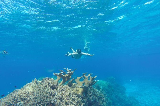 El Cielo and Snorkel Private Excursion - Final Thoughts