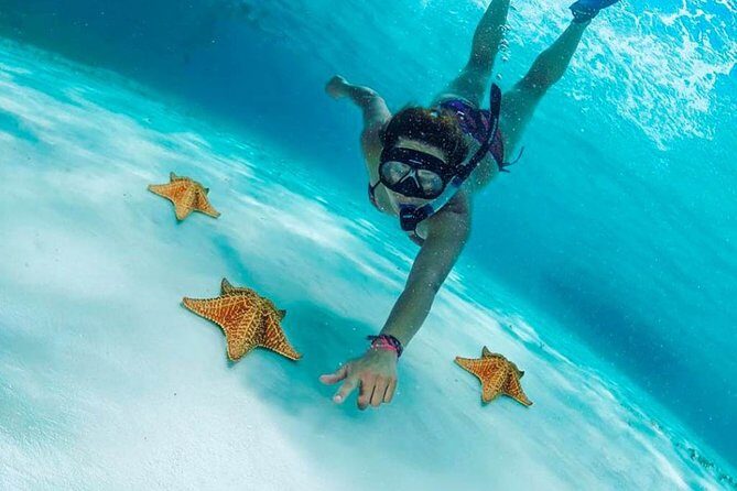 El Cielo Cozumel, a paradisiacal tour. Be amazed by the stars near to you. - The Itinerary in Detail